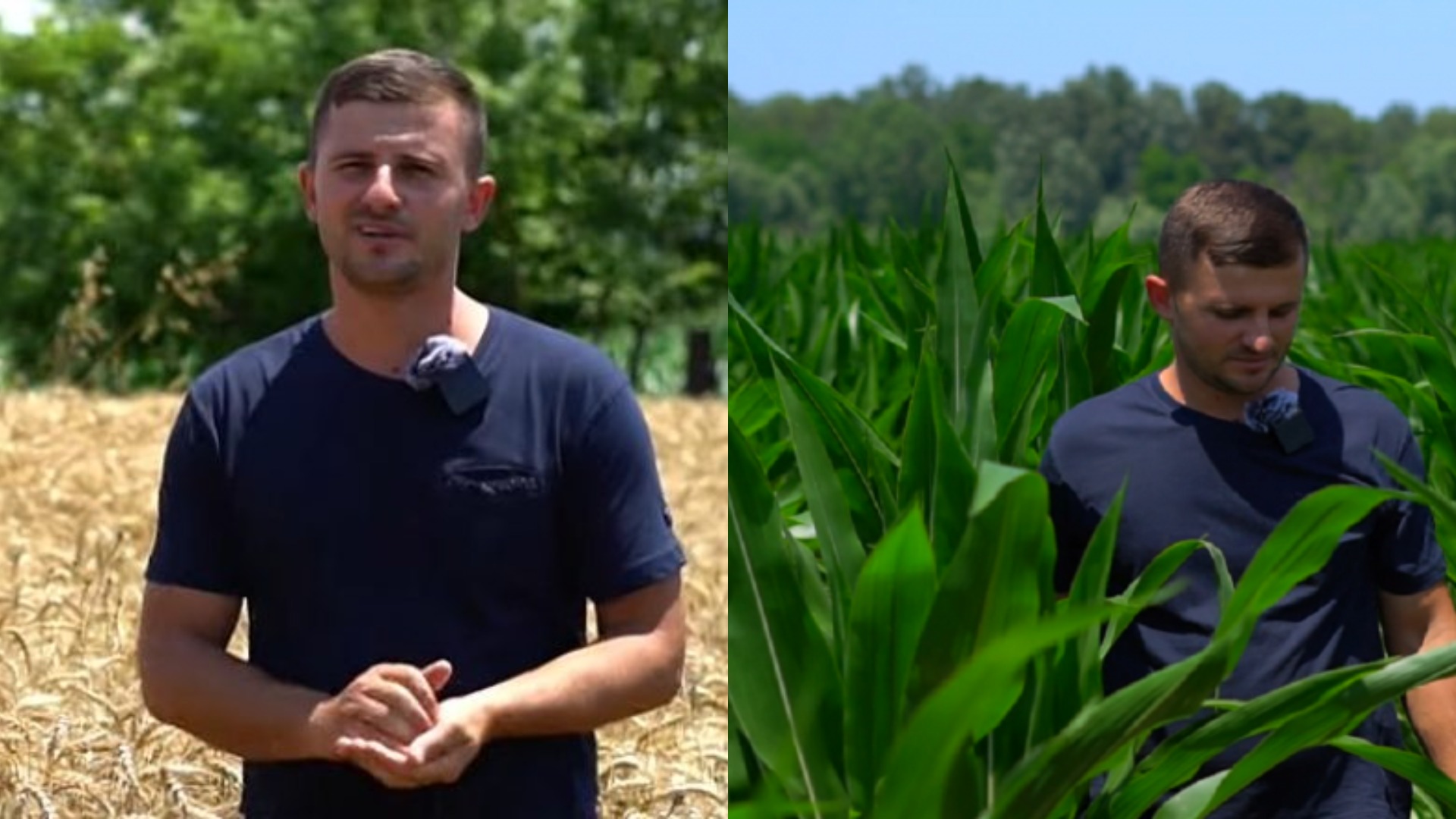 Durrsaku që sfidon Putinin, mbjell 137 hektarë drithëra: Të hamë bukë ...