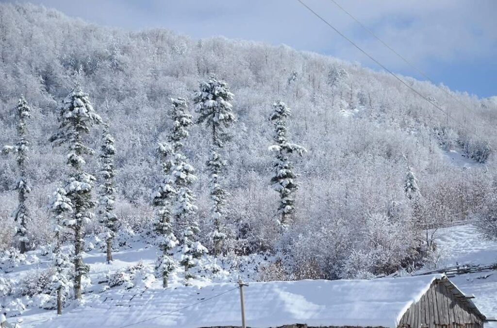 Borë, ftohtë dhe bukuri! (foto)